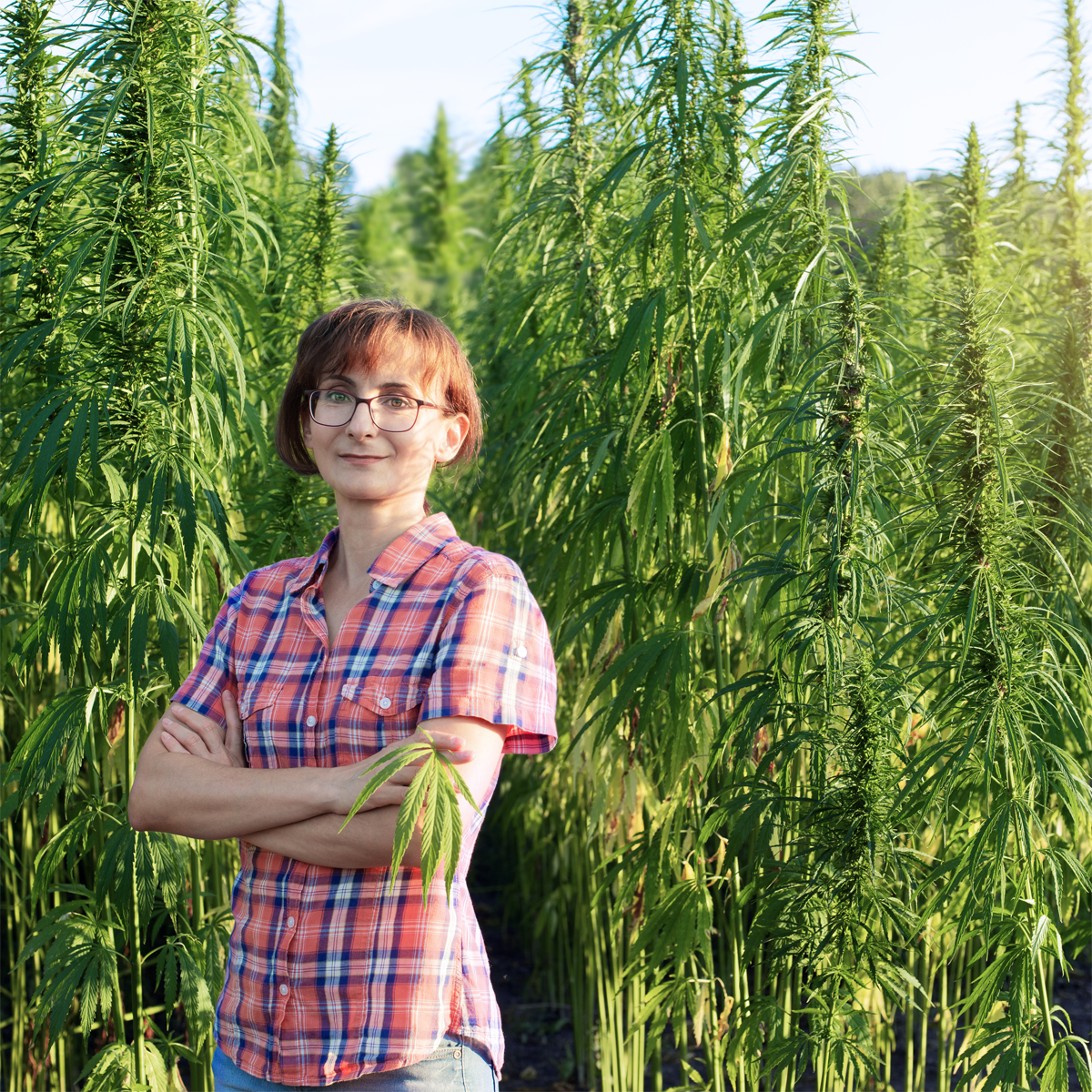 An Update on the Hemp-based Housing Industry - CBD American Shaman ...